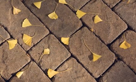 Venetian Stone Heritage | Pavestone Paver | European Pavers Southwest